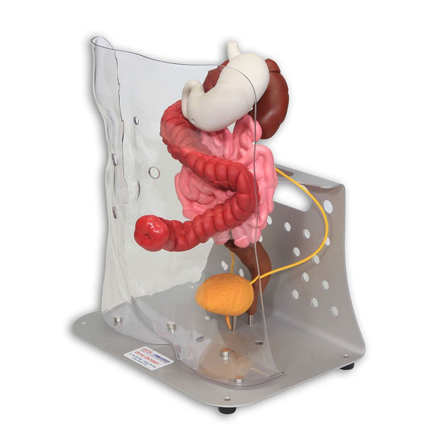 Vata Otto Ostomy Advanced Model With Case | American Hospital Supply